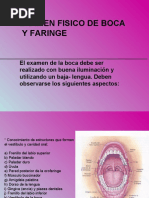 Triangulo de Farabeuf | PDF | Anatomía humana | Cabeza y cuello humanos