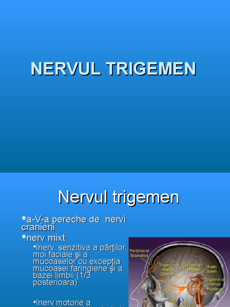 Nervul Trigemen | PDF