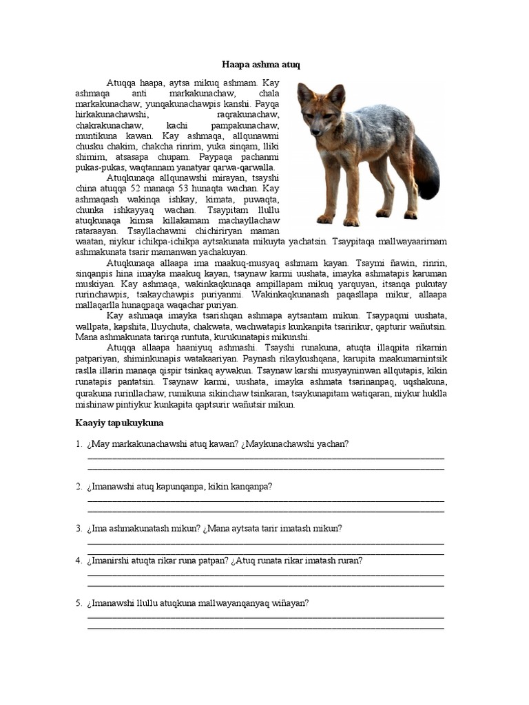 Lectura y Producción de Textos Descriptivos - Clases 1 | PDF