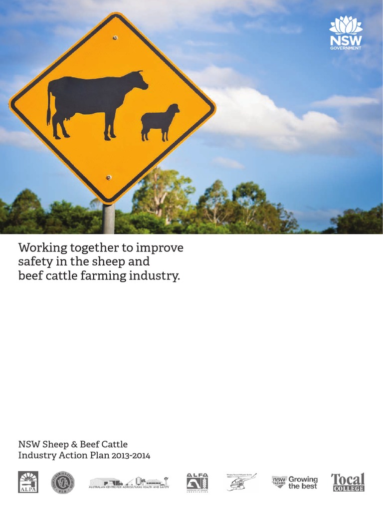 Sheep and Beef Cattle Action Plan 4516 | PDF | Occupational Safety And ...