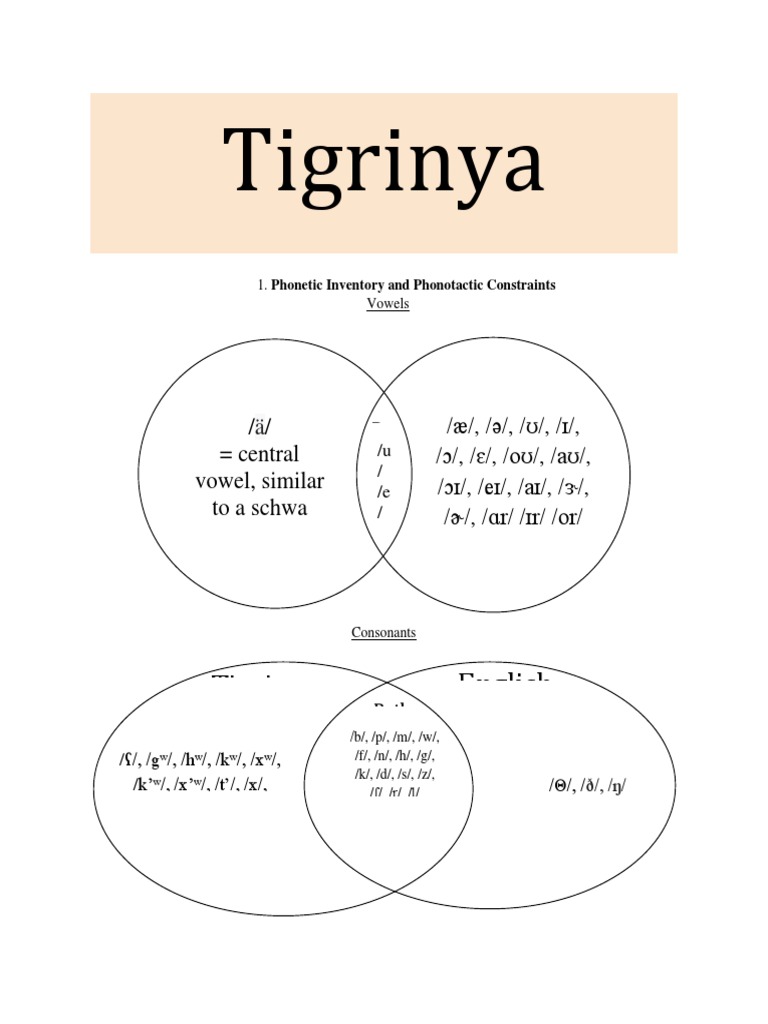 Tigrinya Speech Project - 1 | PDF | Grammatical Gender | Alphabet