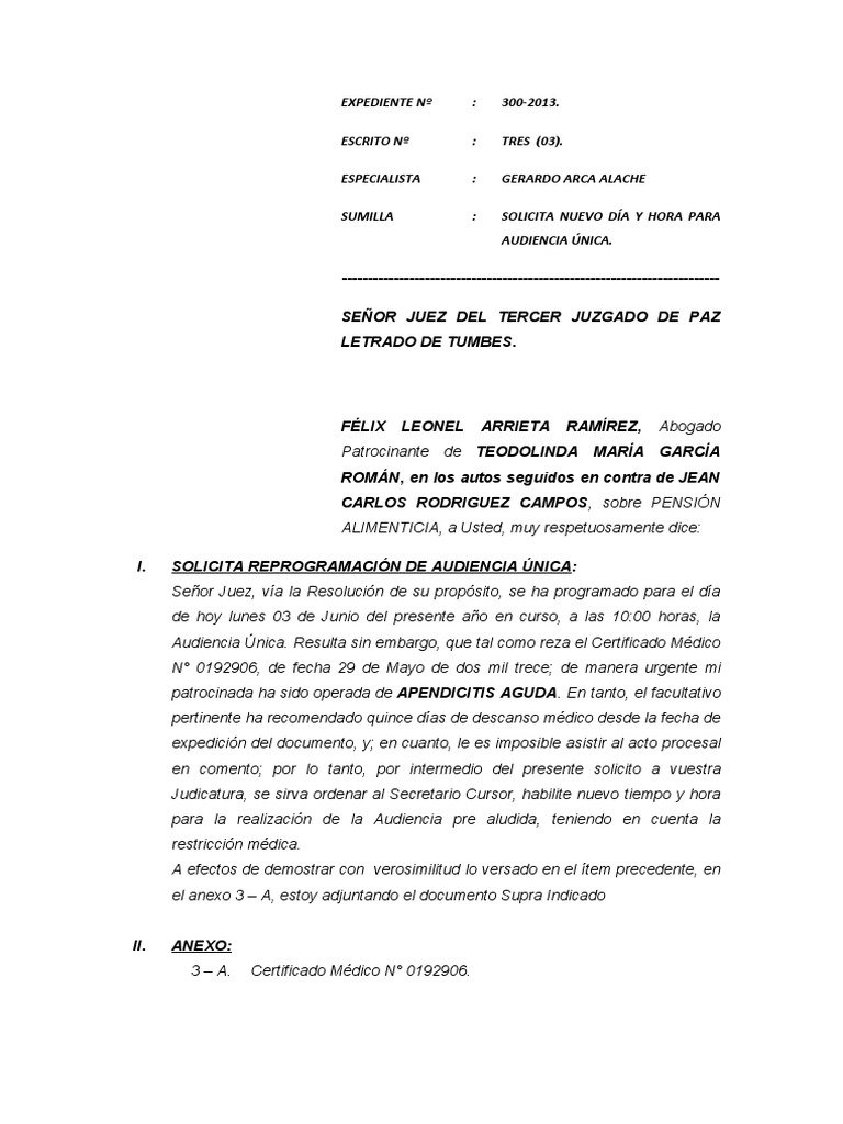 Escrito Reprogramacion de Audiencia | PDF
