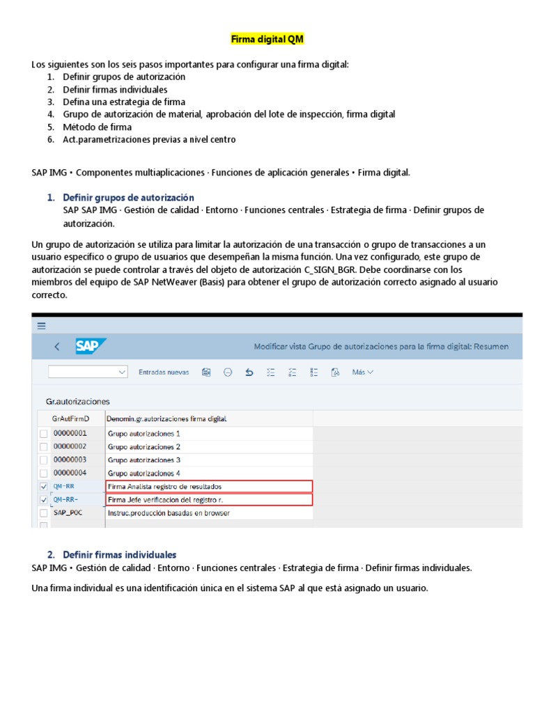 Firma Digital QM | PDF | Usuario (informática) | Sap Se