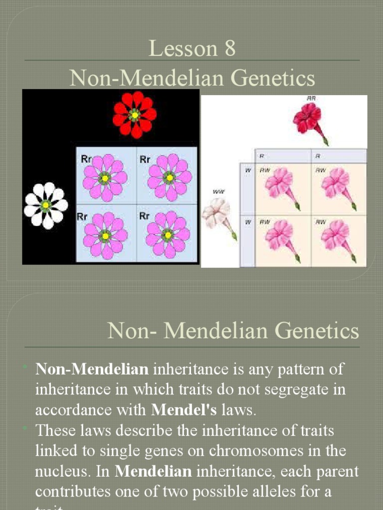 Lesson 8 Non Mendelian Genetics | PDF | Dominance (Genetics) | Allele