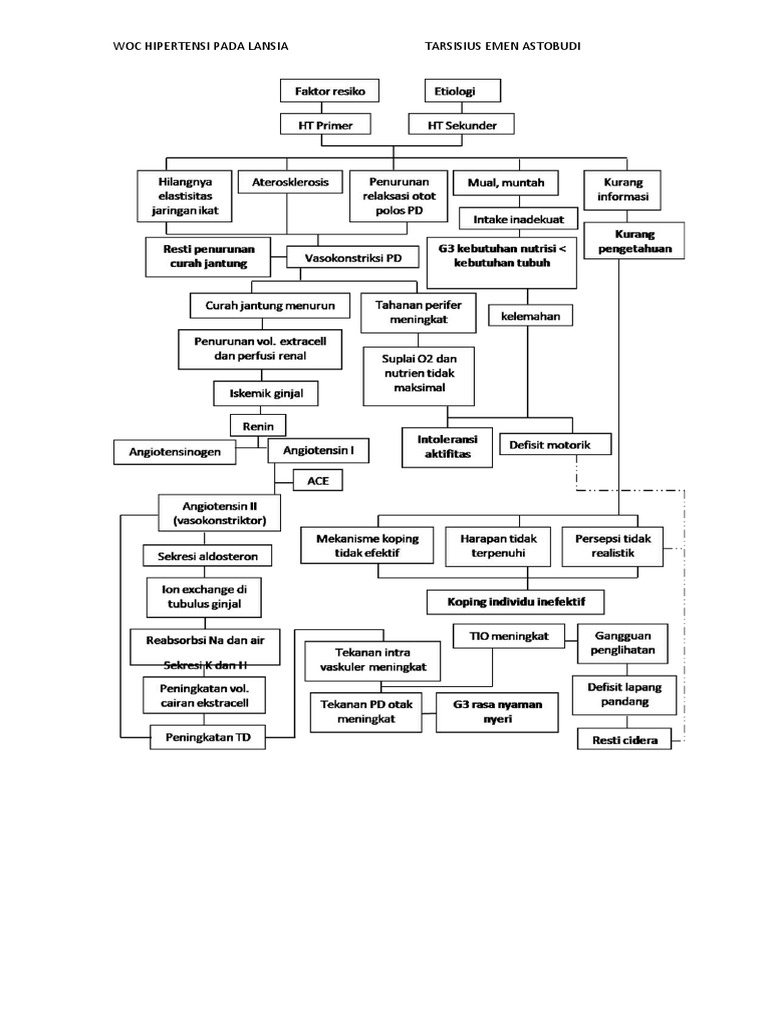 Woc Hipertensi Pada Lansia | PDF