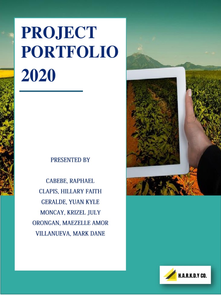Project Portfolio Matrix PDF | PDF | Net Present Value | Economies