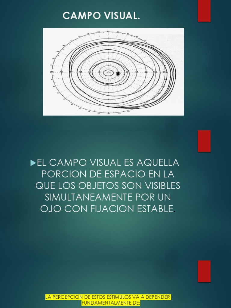 Comprendiendo el Campo Visual Normal | PDF | Glaucoma | Percepción visual