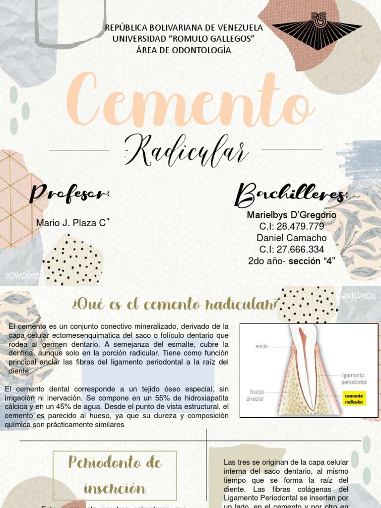 Cemento Radicular | PDF | Anatomía | Science