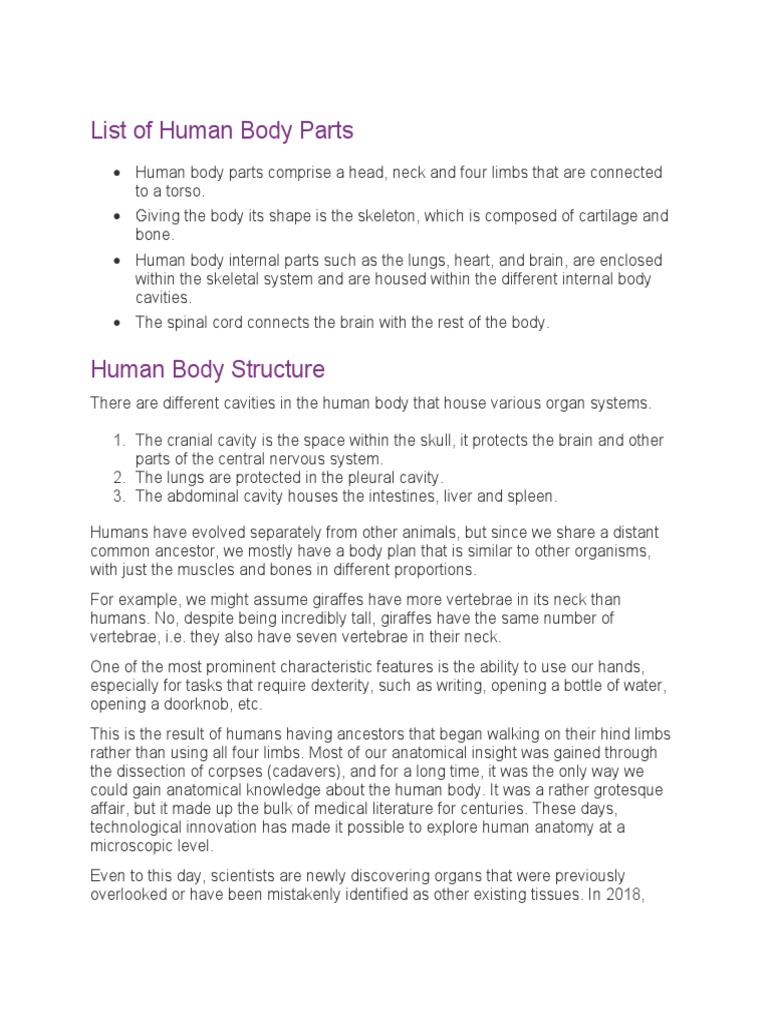 List of Human Body Parts With Diagram | PDF | Reproductive System ...