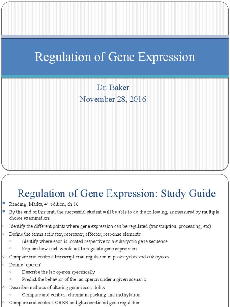 Regulation of Gene Expression | PDF | Regulation Of Gene Expression ...