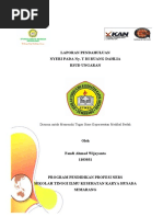 Kelompok 20 - Asuhan Keperawatan Pada Klien Dewasa Dengan DHF - LENGKAP | PDF