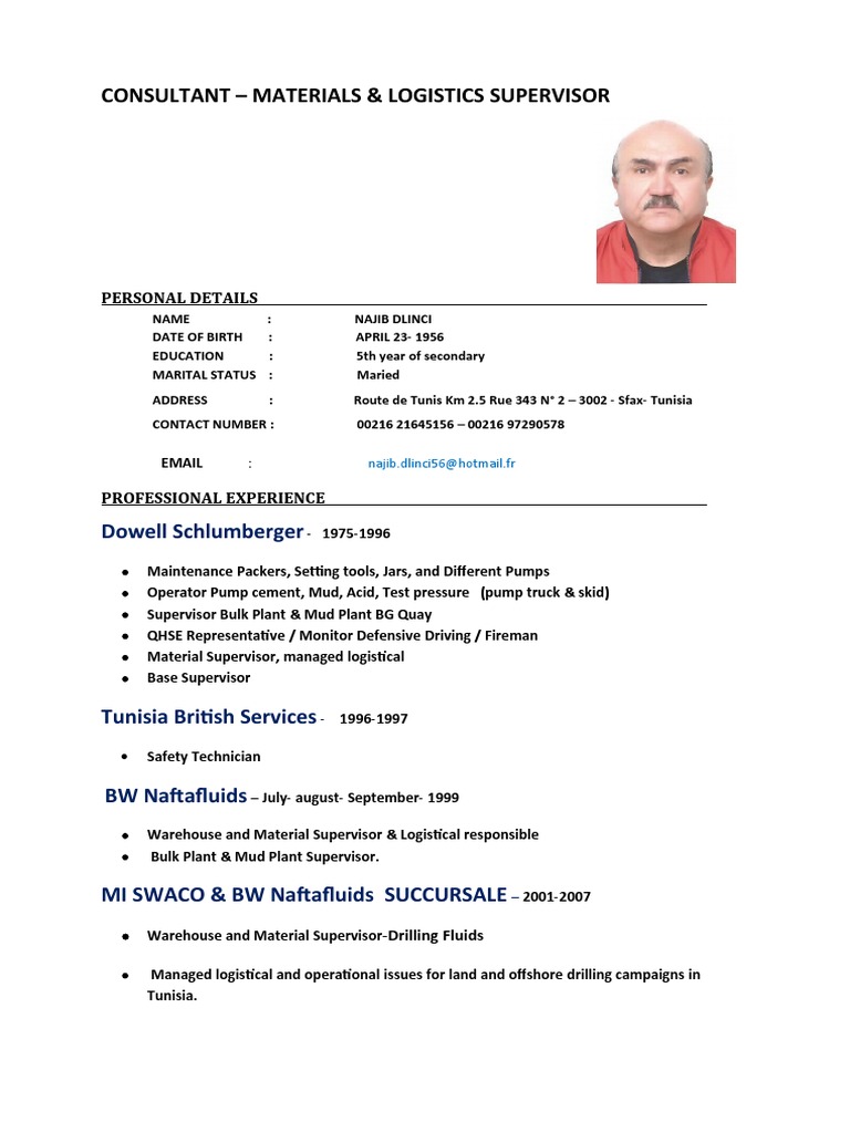 Curriculum Vitae 2019 | Descargar gratis PDF | Logistics | Business