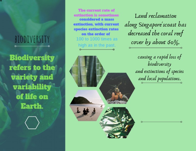 Biodiversity Loss and Extinction Rates | PDF