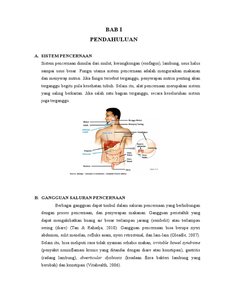 Gangguan Saluran Cerna | PDF