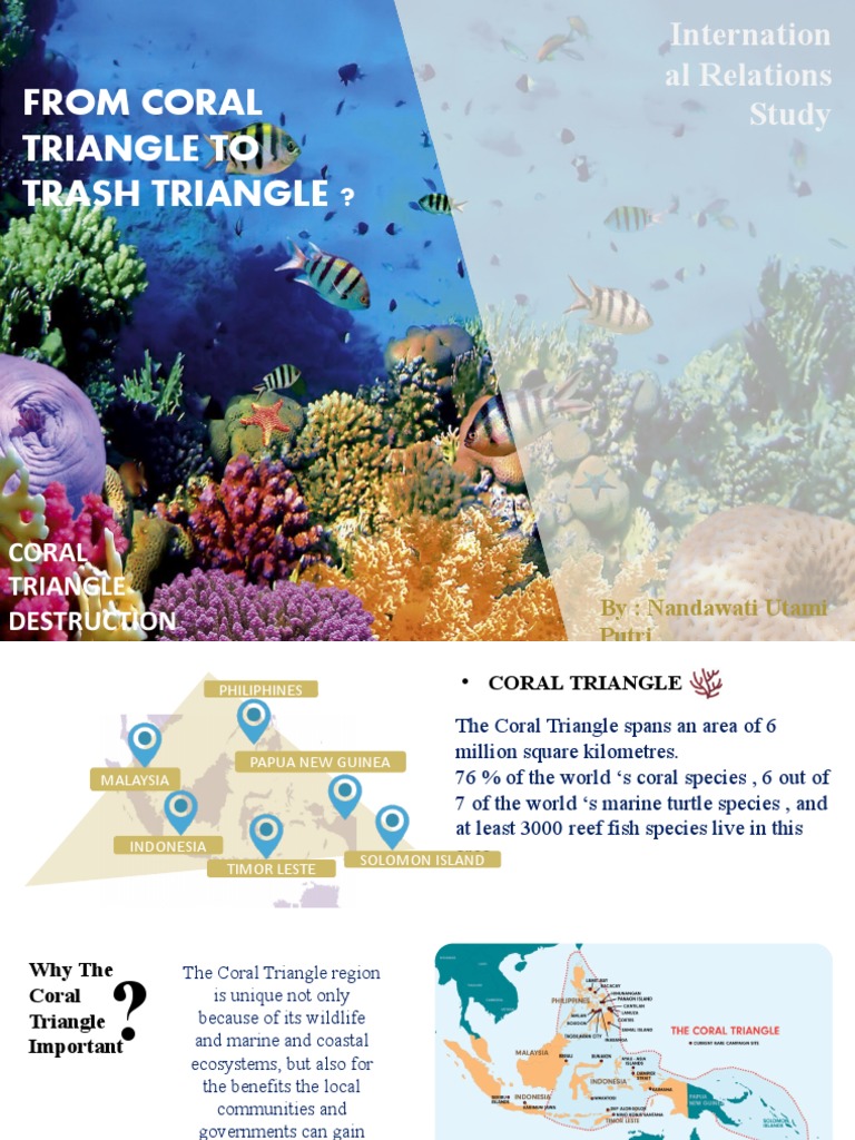 Coral Triangle: Threats & Solutions | PDF | Coral Reef | Indonesia