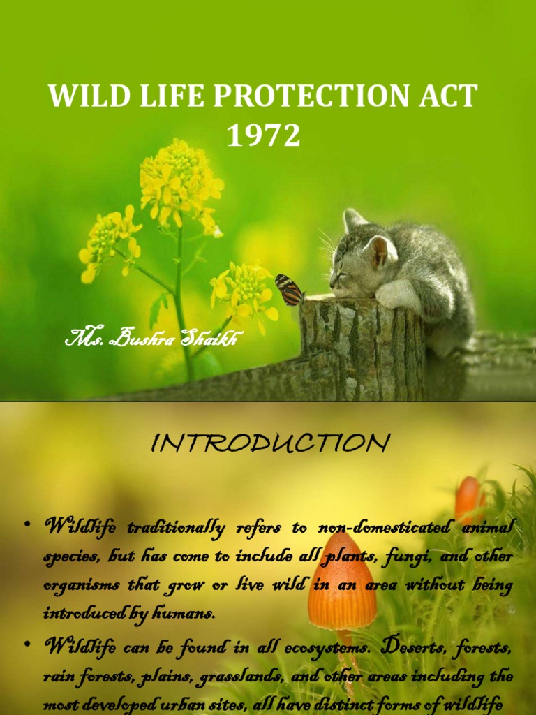 Wild Life Protection Act 1972 | PDF | Wildlife | Hunting