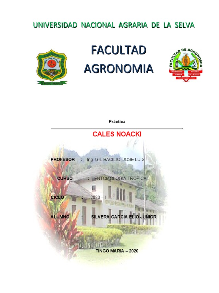 Elio Junior Silvera Garcia - Cales Noacki | PDF | Plantas | Organismos