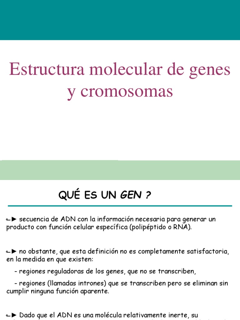 8 Estructura Molecular de Genes y Cromosomas | PDF | Adn | Cromosoma