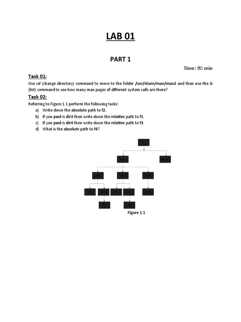 Lab 01 Introduction To Linux Commands And Directories Pdf Computer File Computer Architecture