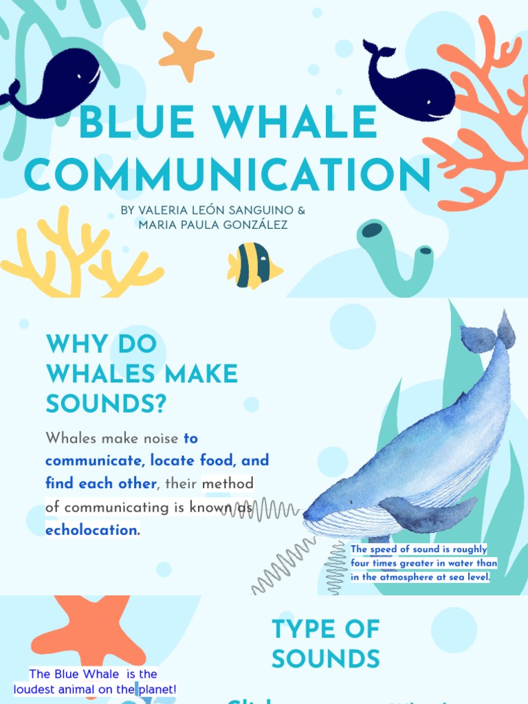 Blue Whale Communication | PDF | Whales | Cetaceans