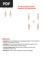 Muscle OIA | PDF | Vertebral Column | Vertebra