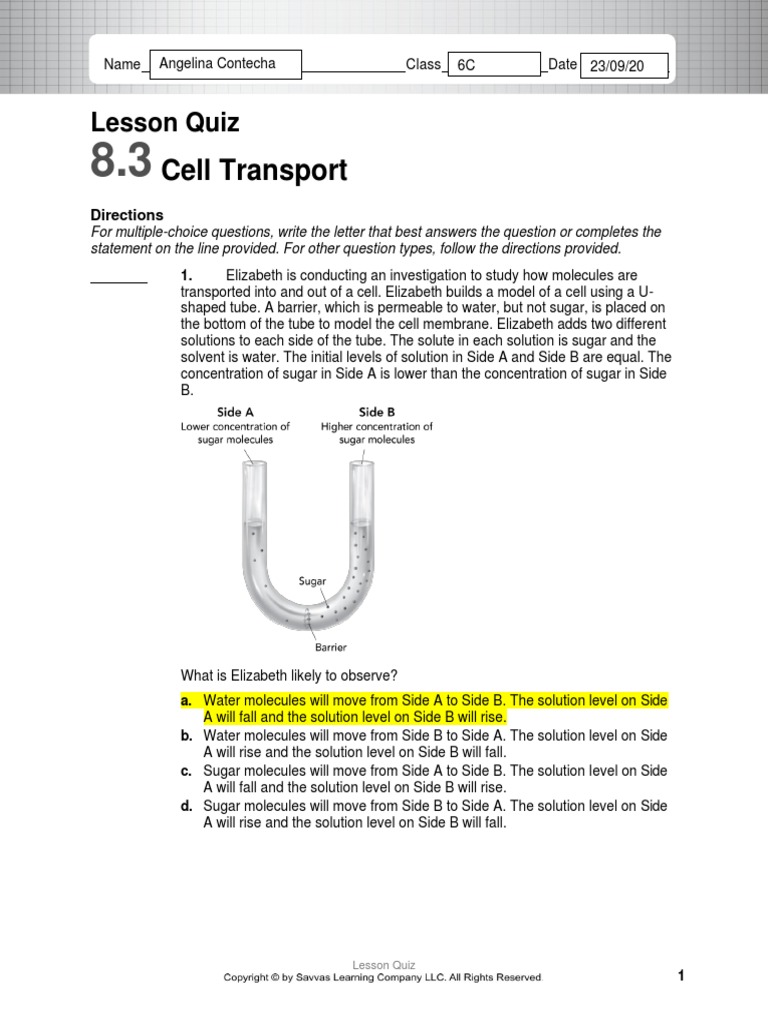 Cell transport quiz | PDF | Osmosis | Life Sciences