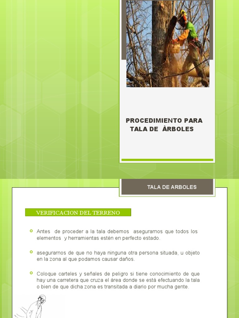 Procedimiento Seguro para Tala de Arboles | PDF | Poda | Arboles