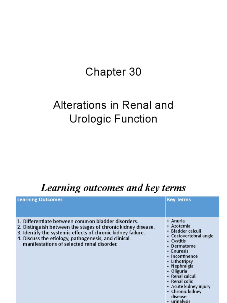 Student - Module 9 - Renal Alterations | PDF | Kidney | Renal Function