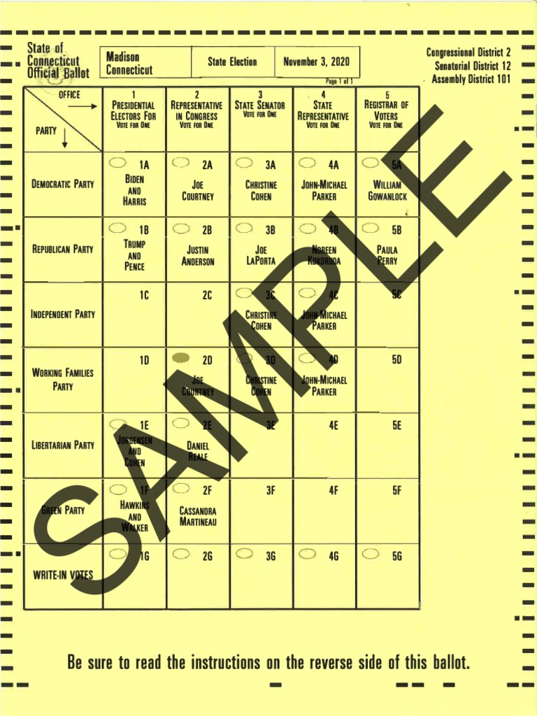 Madison 11-3-2020 Ballot Sample | PDF | Voting | Political Events