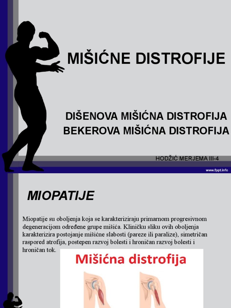 Mišićne Distrofije | PDF