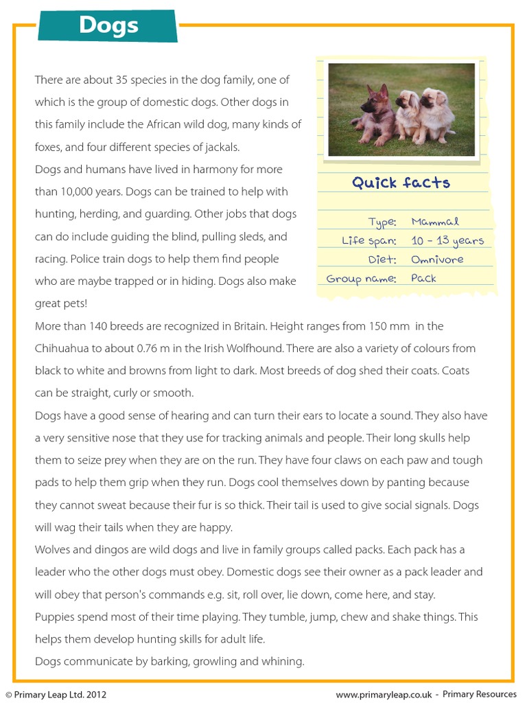 Dogs | PDF | Dogs | Subspecies Of Canis Lupus