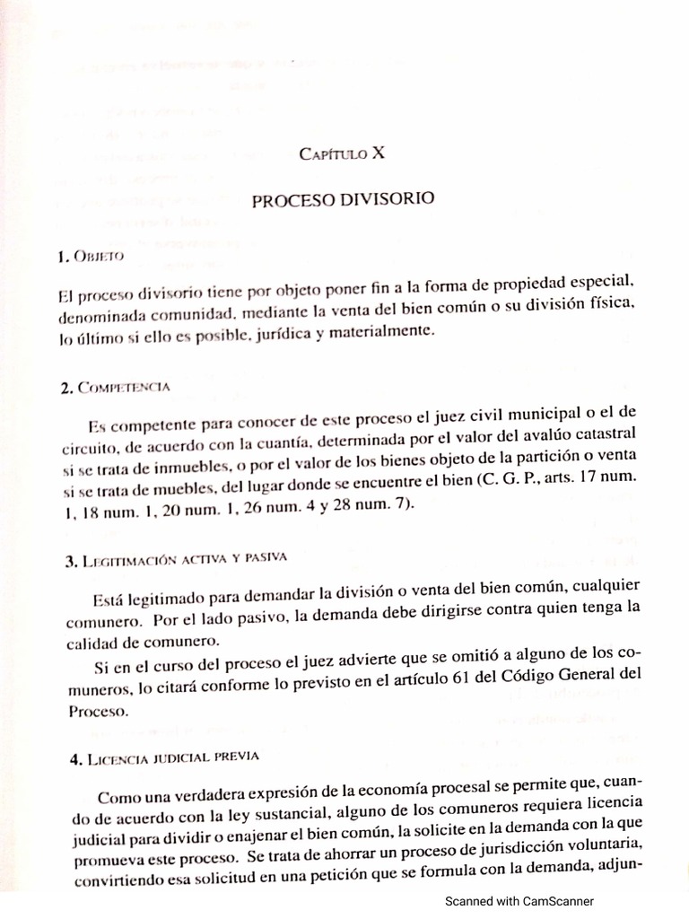 Proceso Divisorio - Ramiro Bejarano | PDF