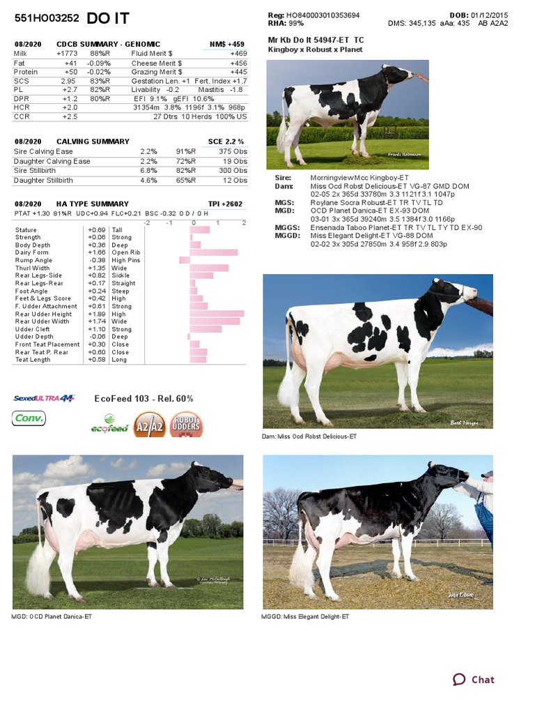CDCB Summary and Type Appraisal for Mr Kb Do It 54947-ET | PDF ...