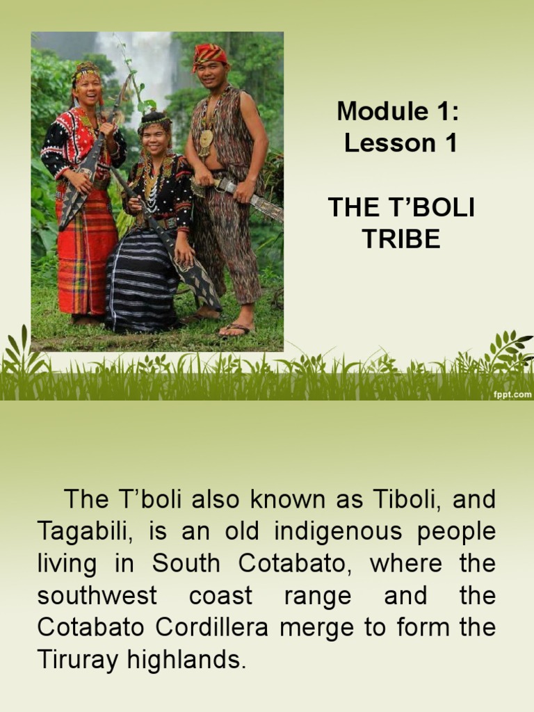 Module 1 Lesson 1 - The T'boli Tribe | PDF | Weaving | Wife