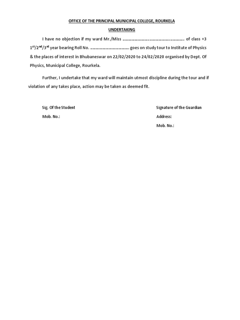 Undertaking PDF | PDF