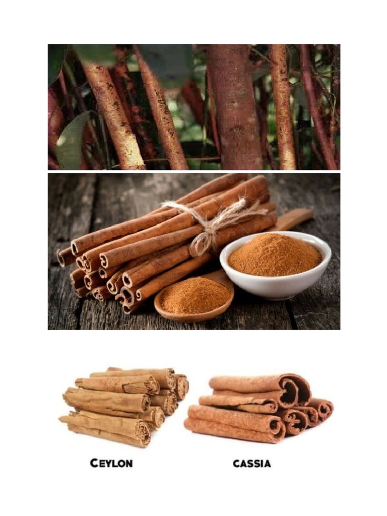 Kayu Manis | PDF