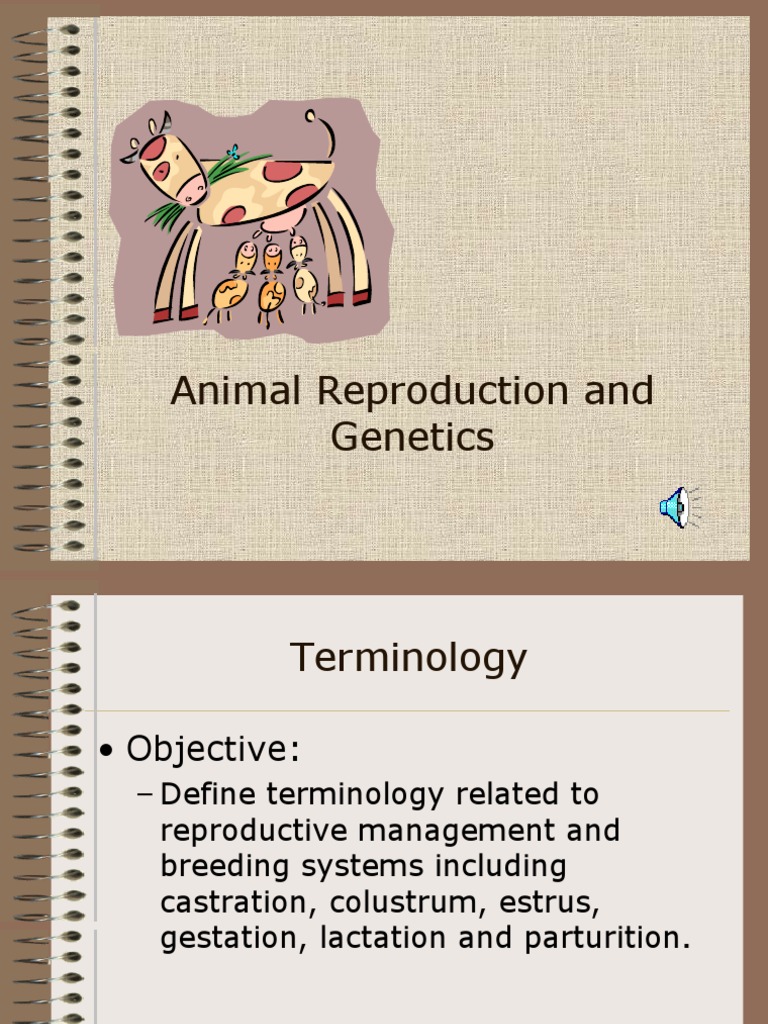 Animal Reproduction and Genetics | PDF | Reproductive System | Zygosity