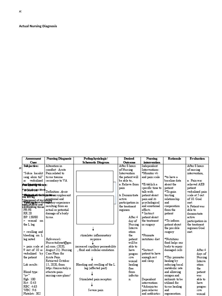 Actual Nursing Diagnosis | PDF | Healing | Pain