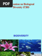 Convention On Biological Diversity 1992 | PDF | Biodiversity ...