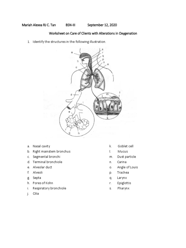 Oxygenation Worksheet | Download Free PDF | Respiratory Tract | Exhalation