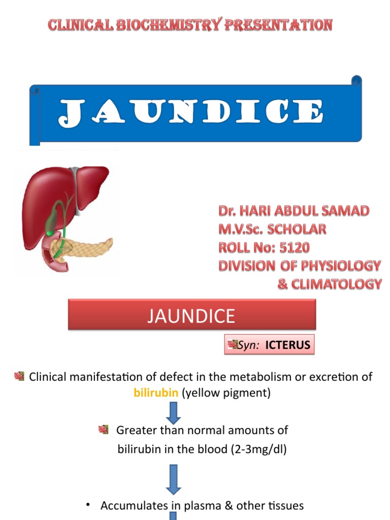 Types and Pathophysiology of Jaundice | PDF | Gastroenterology | Liver