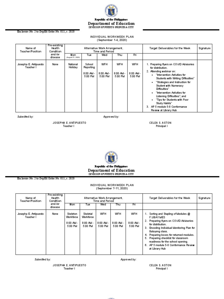 Individual Workweek Plan for Teachers | PDF | Cognition | Behavior Modification
