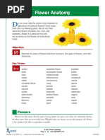 Flower | PDF | Plant Reproduction | Flowers