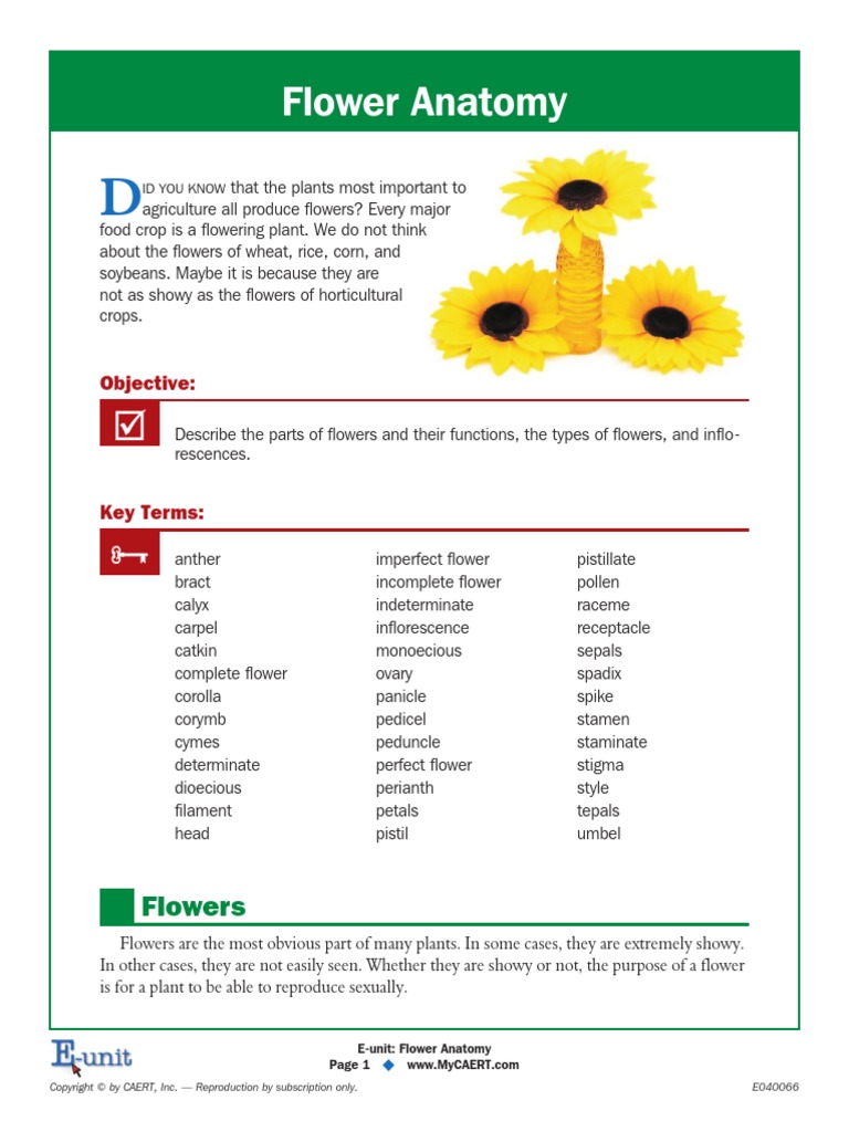 Flower Anatomy: Flowers | PDF