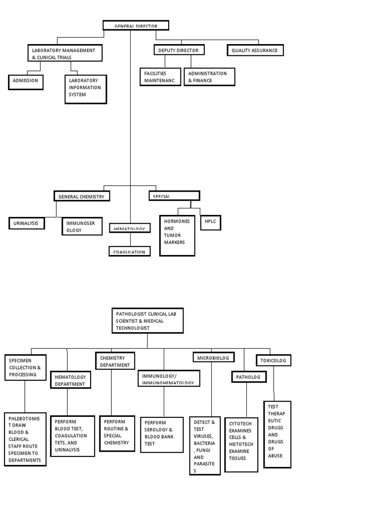 Organizational Chart | PDF | Pathology | Medical Laboratory