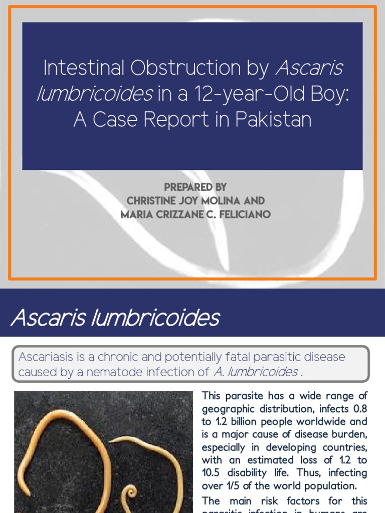 Intestinal Obstruction by Ascaris Lumbricoides in A 12-Year-Old | PDF ...