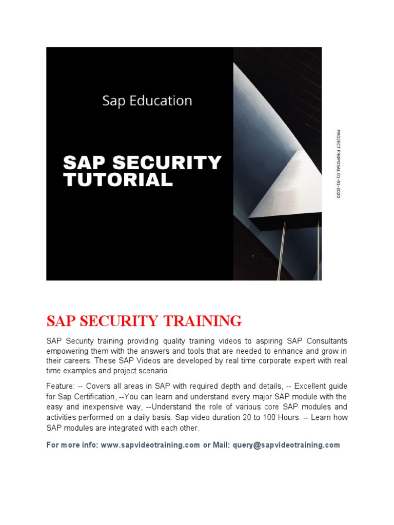 Sap Security | PDF