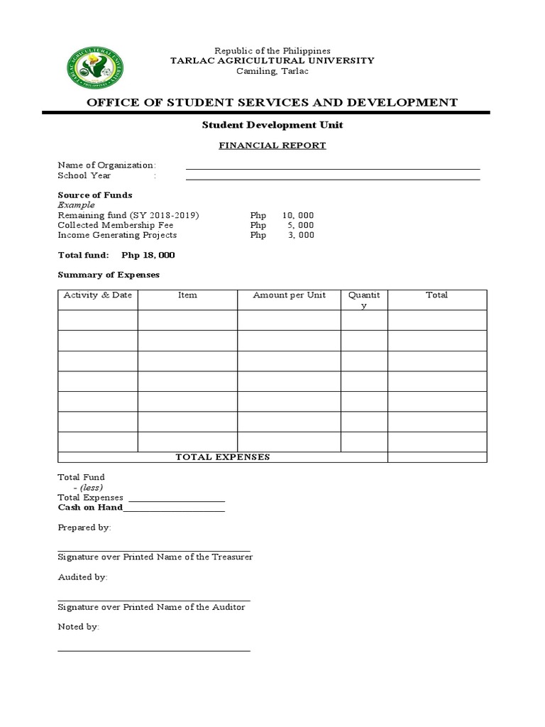 Financial Report Template | PDF