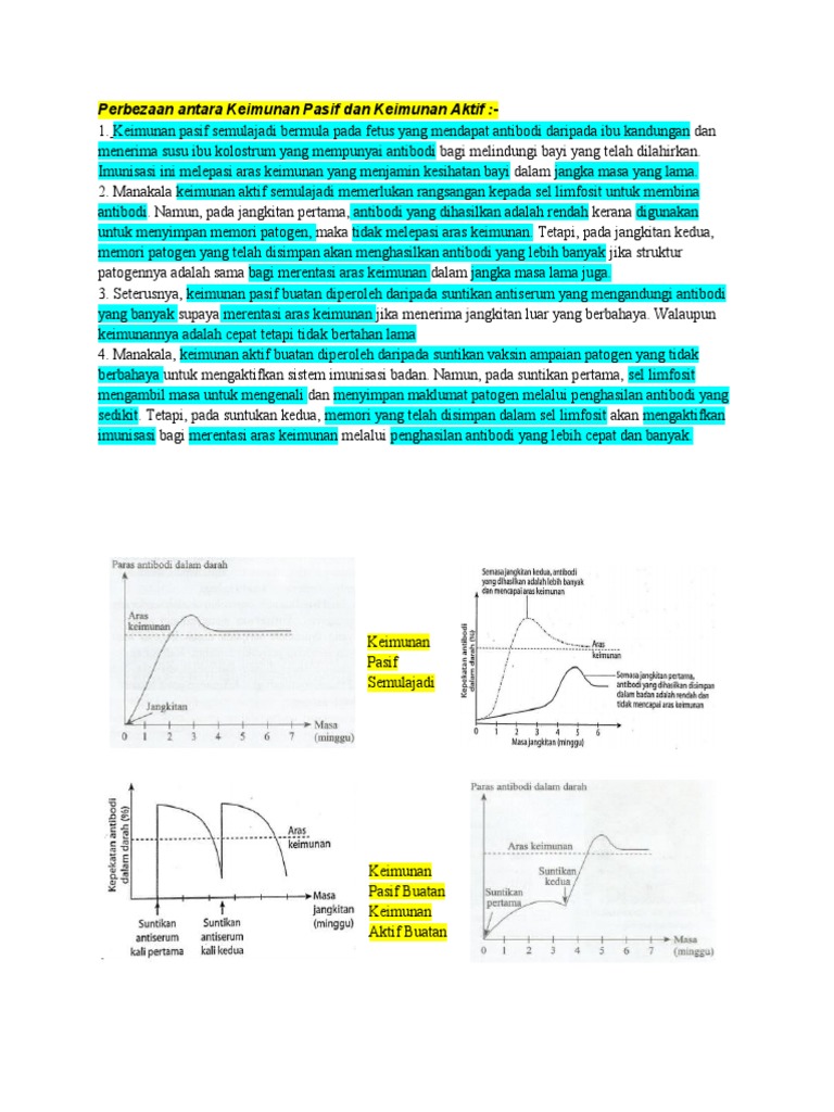 Jawapan Biologi Keimunan (16.10) | PDF