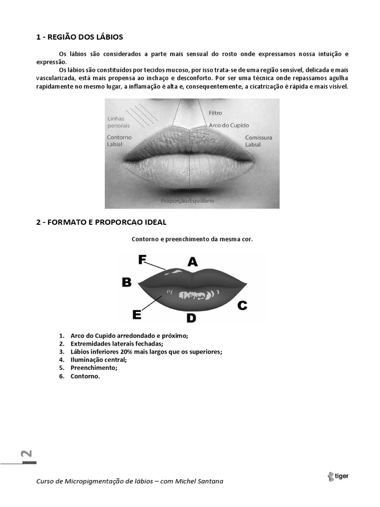 Anatomia Dos Labios | PDF | Carreira e Crescimento